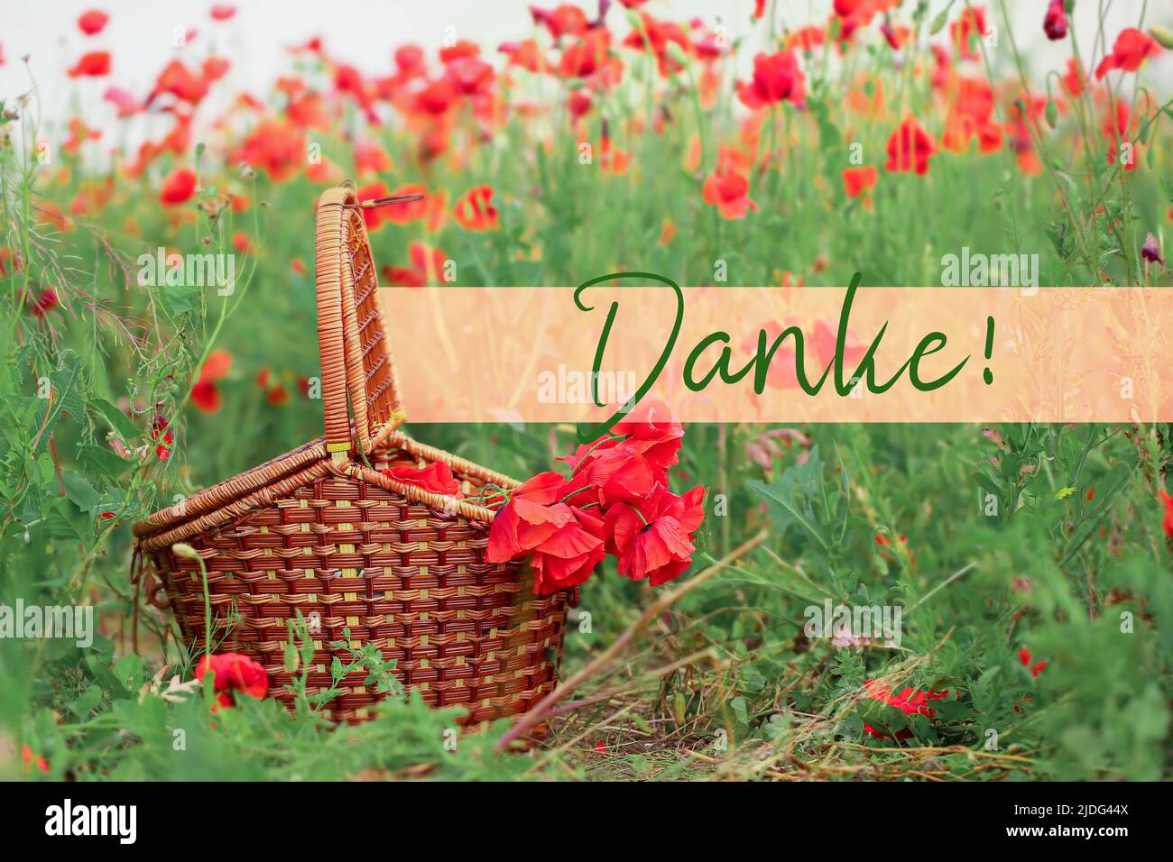 Danke banner hi-res stock photography and images - Alamy