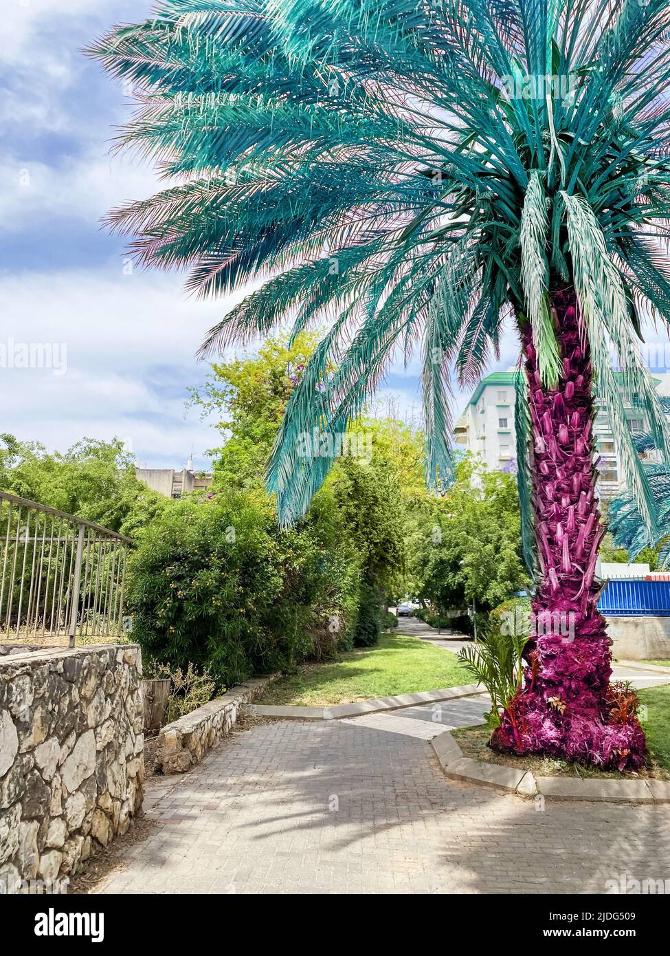 Tropical palm of unusual color in beautiful garden Stock Photo - Alamy