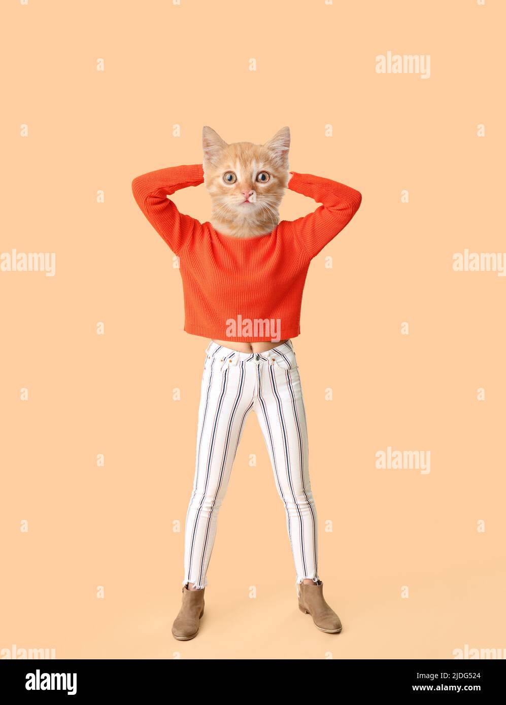 Human animal transformation hi-res stock photography and images - Alamy