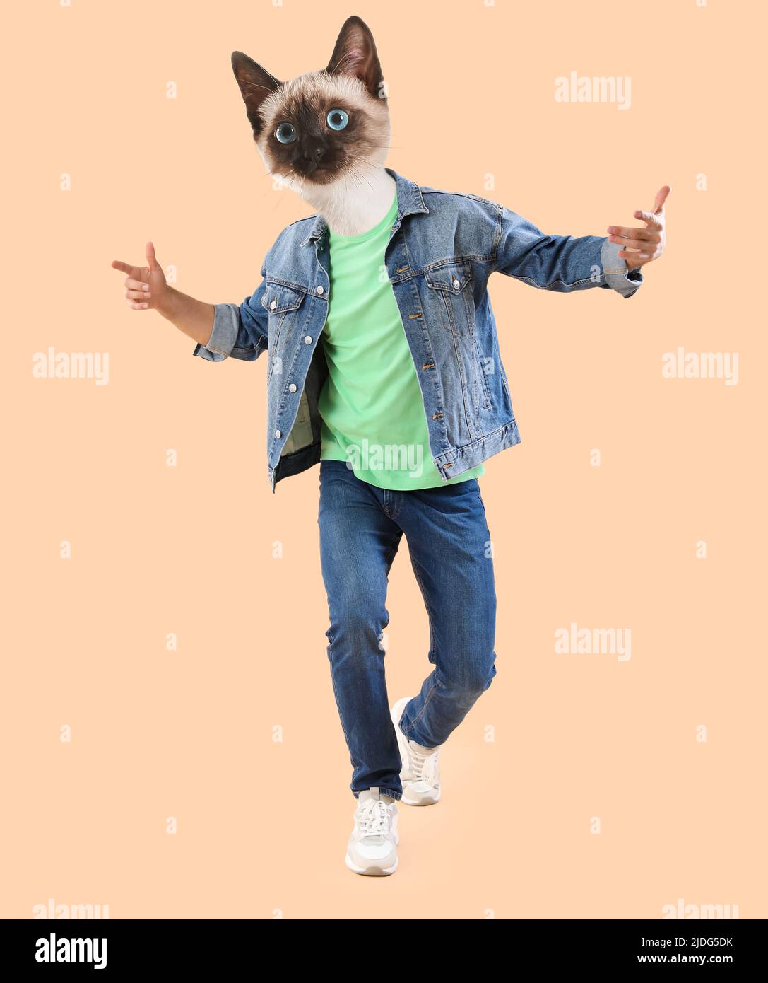 Cool Thai cat with human body on beige background Stock Photo - Alamy