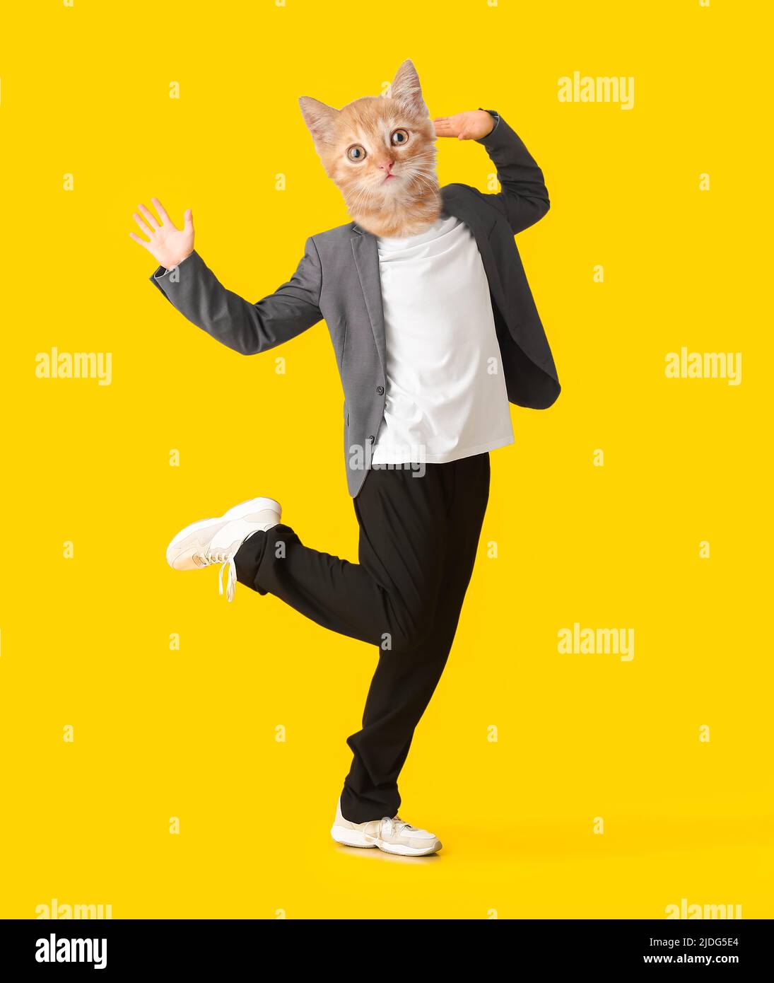 Dancing kitten with human body on yellow background Stock Photo - Alamy