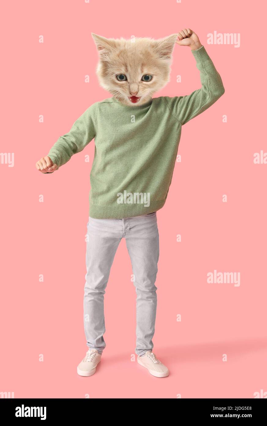 Dancing kitten with human body on pink background Stock Photo - Alamy