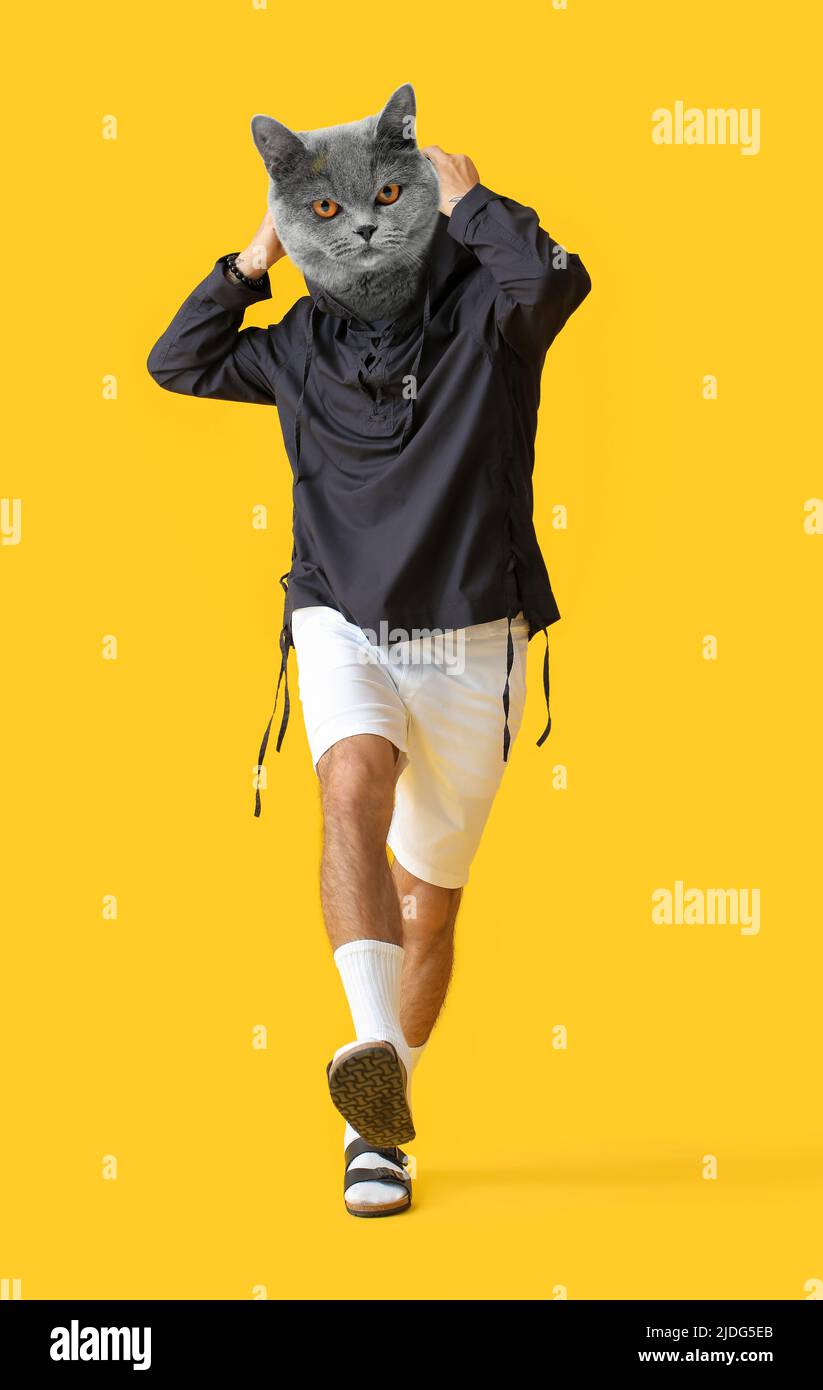 Fashionable cool cat with human body on yellow background Stock Photo ...