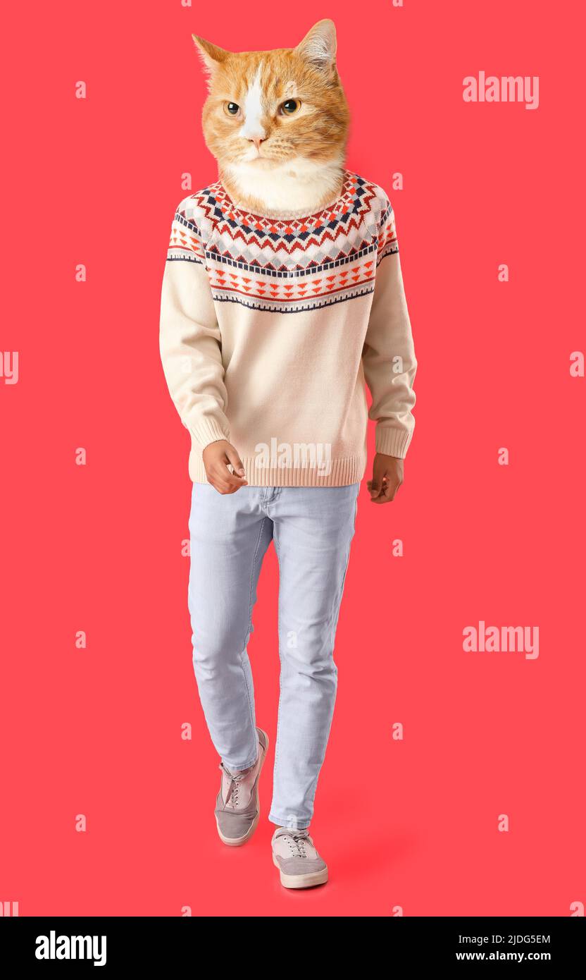 Cute cat with human body on red background Stock Photo - Alamy