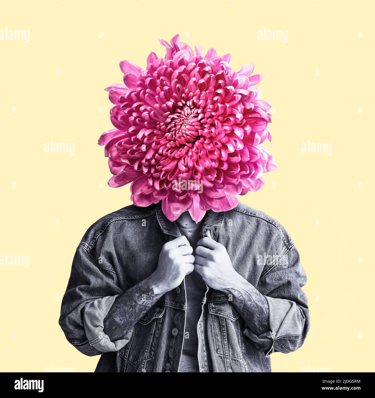 Hipster Photography Flowers