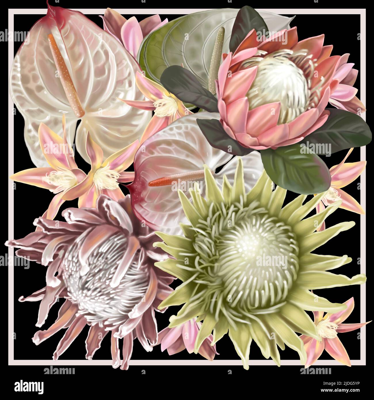 Protea bouquet. watercolor realist flowers of protea and anthurium ...