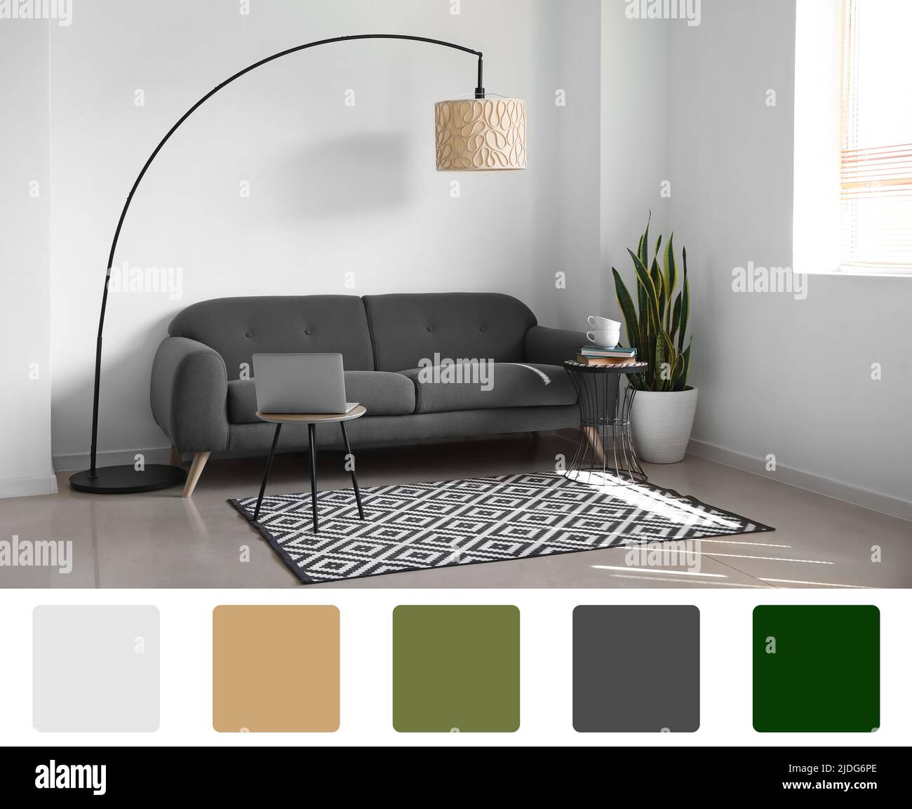 Interior of modern living room with comfortable sofa. Different color ...