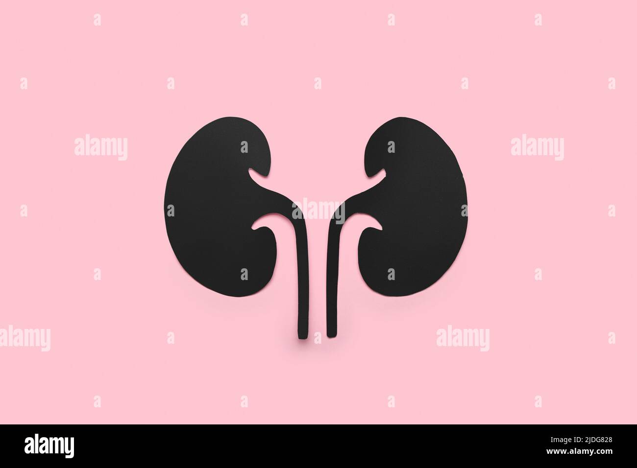 Black paper kidneys on pink background Stock Photo - Alamy