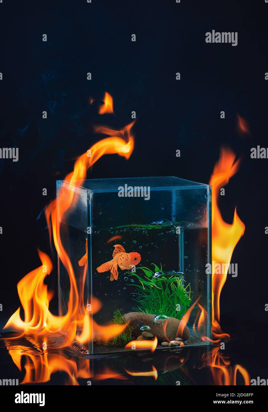 Broken fish tank hi-res stock photography and images - Alamy