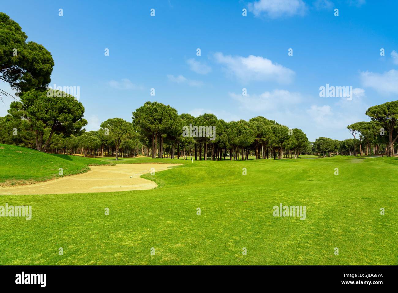 Landscape view of beautiful golf course surrounded with pines in Turkey ...