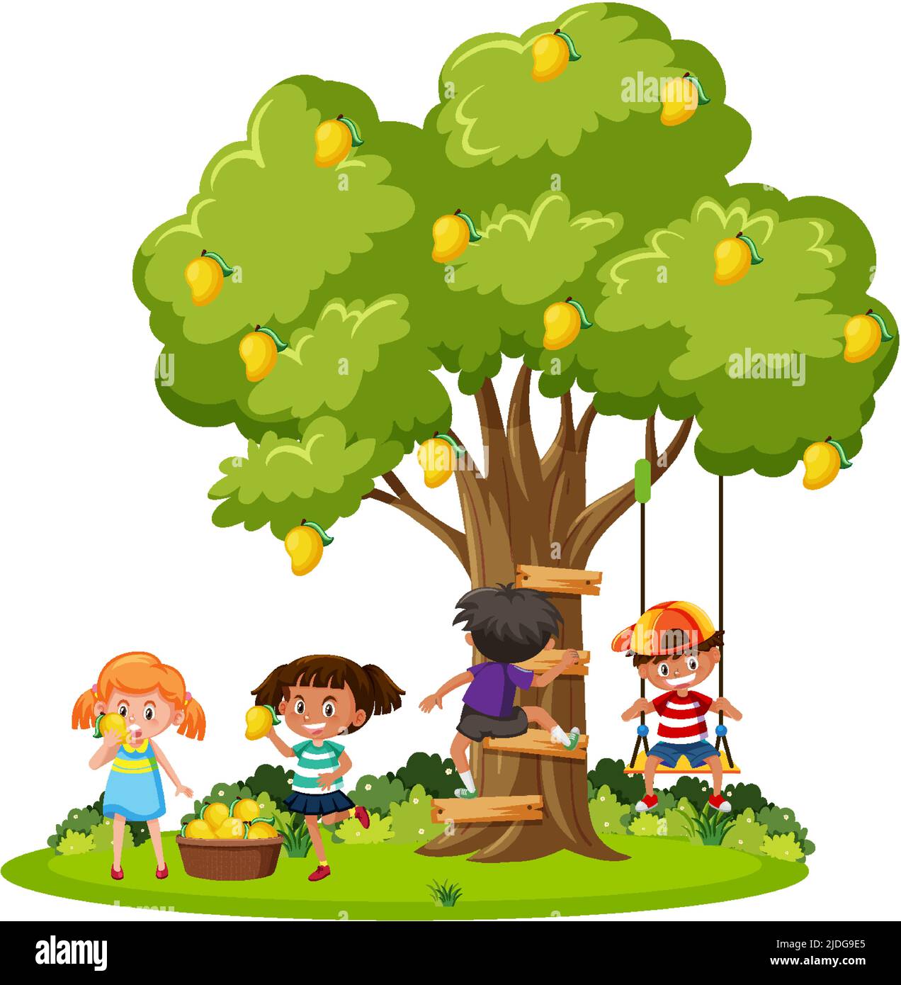 Kids harvesting mango from tree illustration Stock Vector Image & Art ...