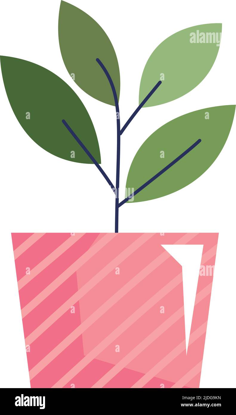 houseplant in pink pot Stock Vector Image & Art - Alamy