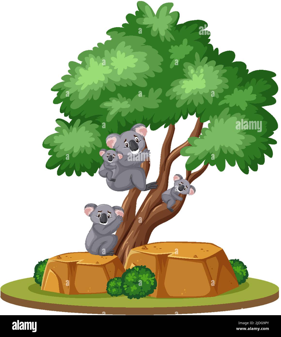 Koala on the tree on white background illustration Stock Vector Image ...
