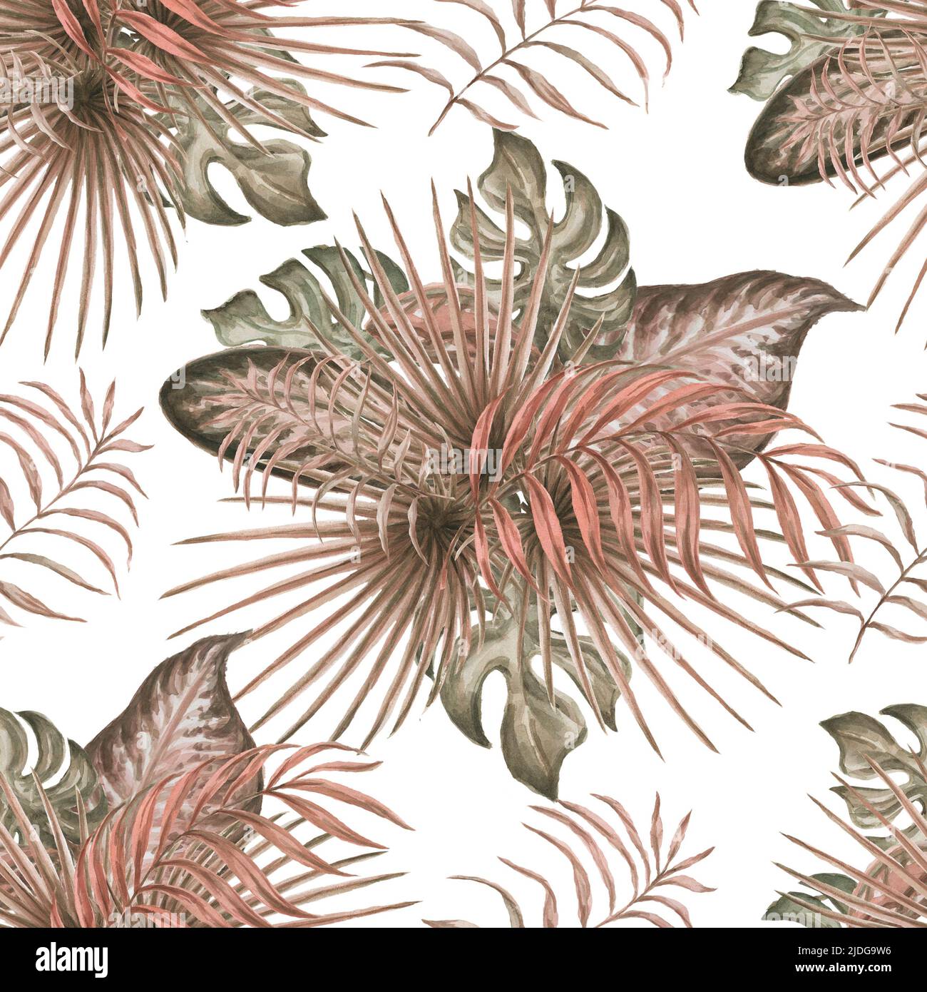 Monstera tropic leaves watercolor illustration hand drawn composition ...