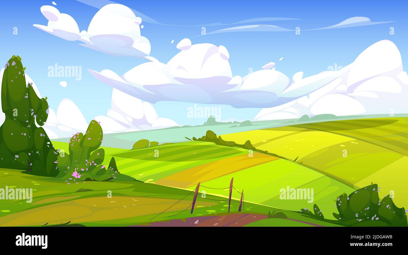 Rural landscape with green agriculture fields, path and bushes with ...