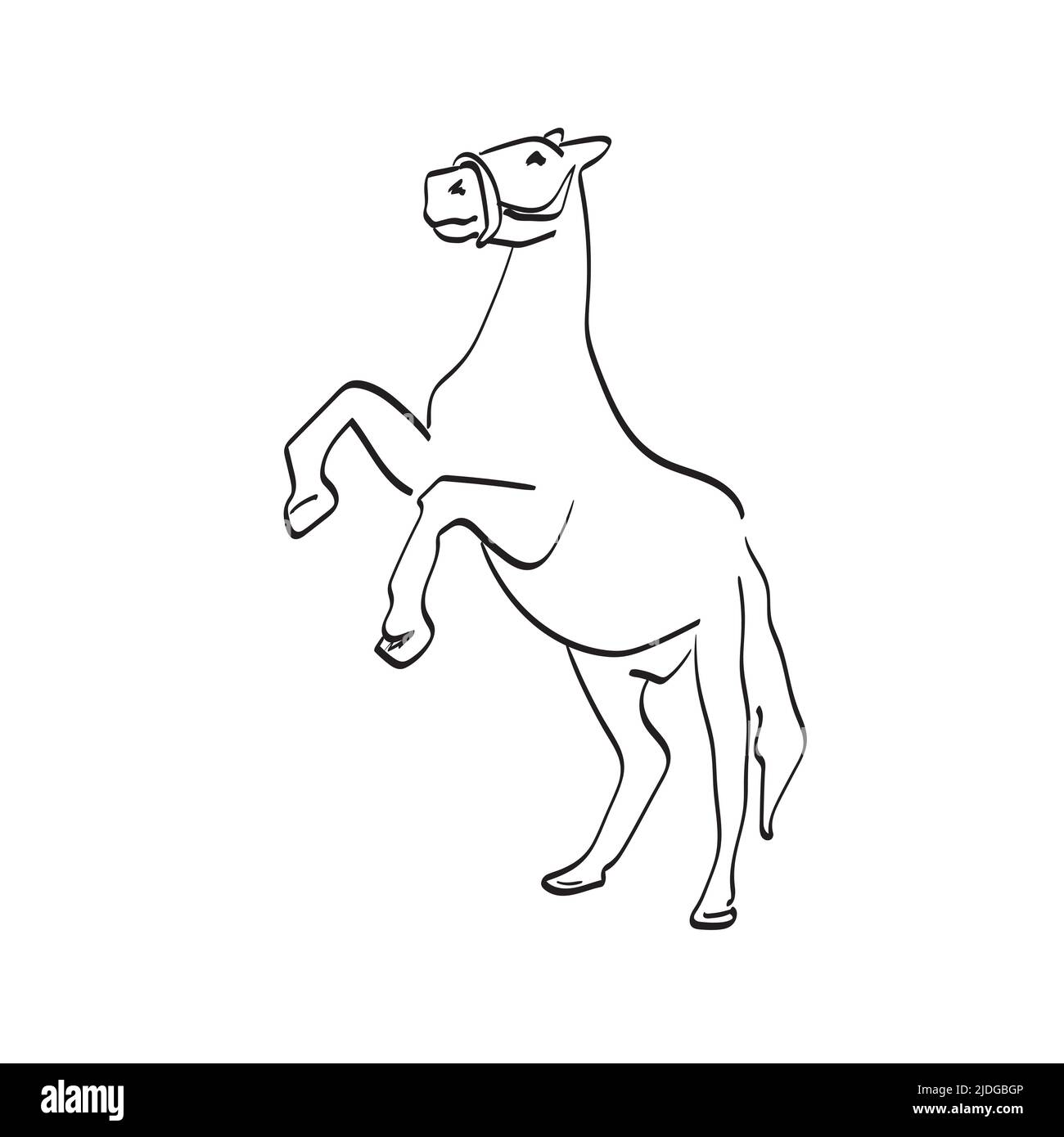 two legs horse illustration vector hand drawn isolated on white ...