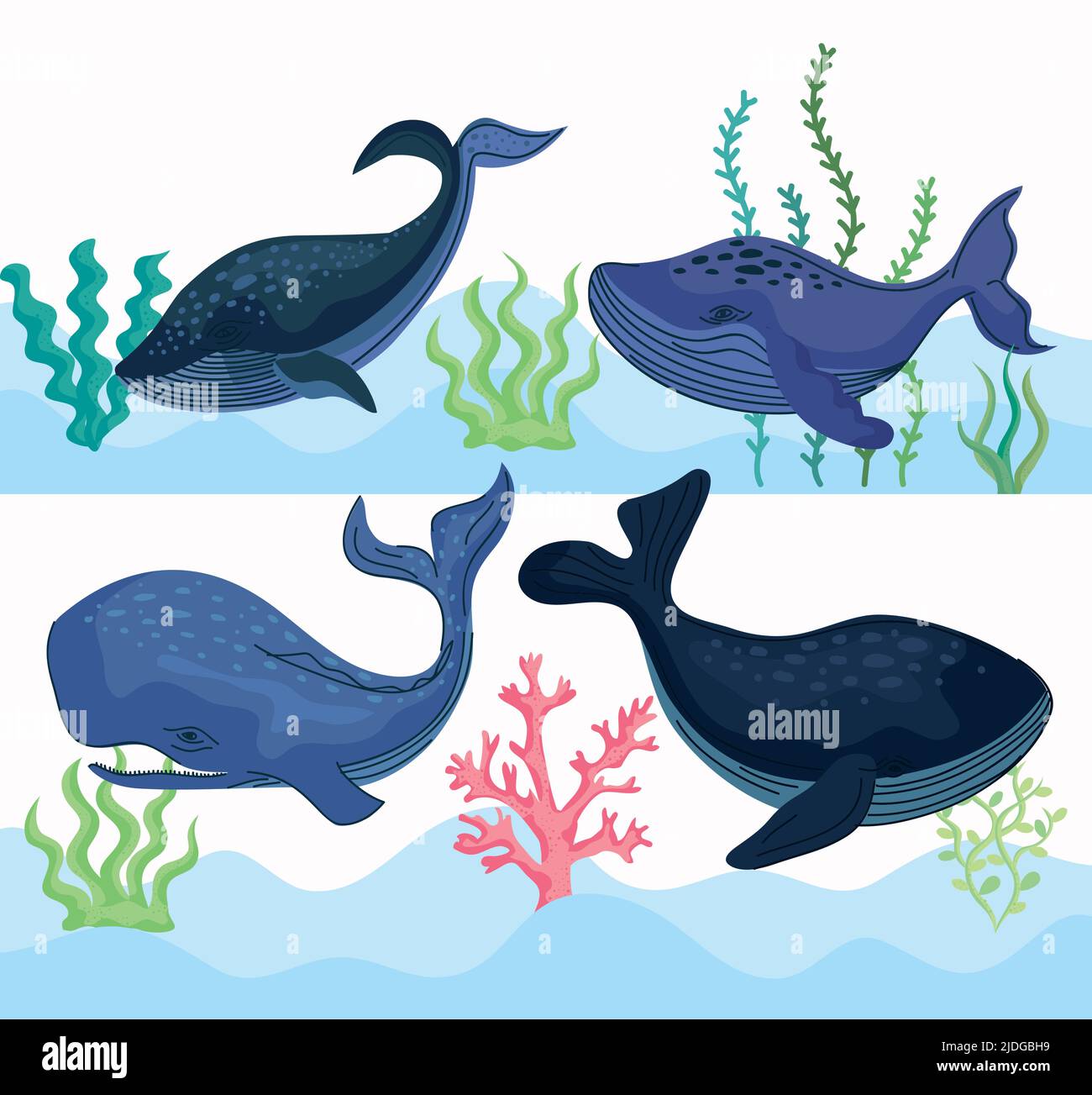 Four sea creatures Stock Vector Images - Alamy