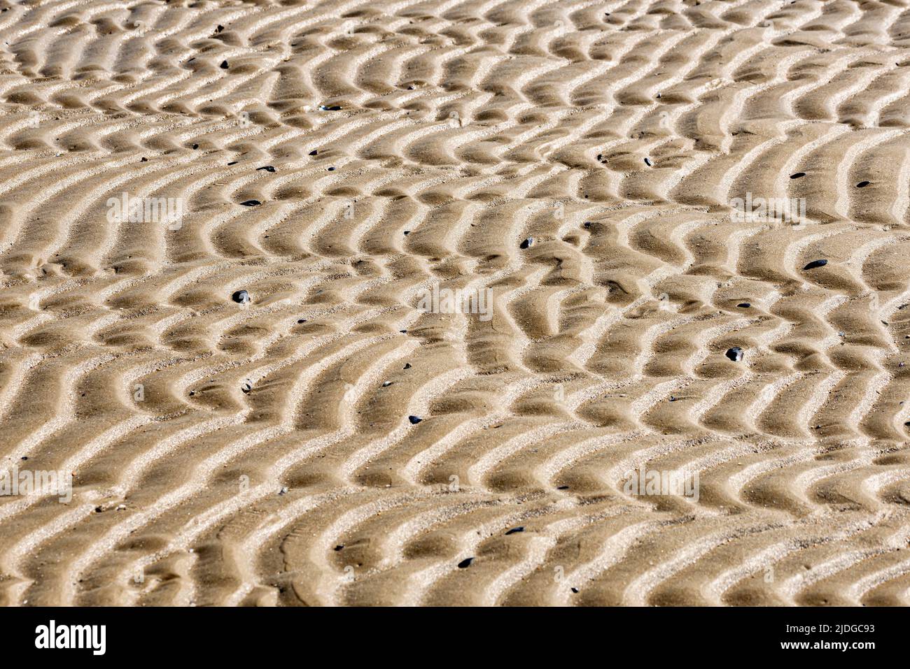Sand texture on the beach close to the Adriatic sea in Italy Stock ...