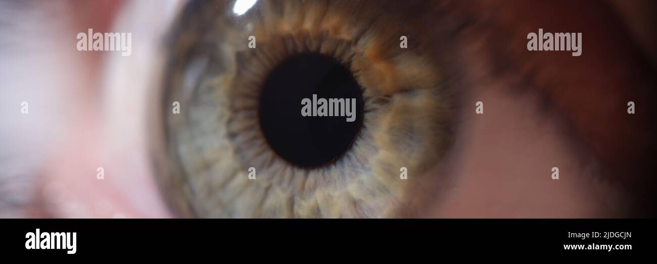 Green eyelashes iris hi-res stock photography and images - Alamy