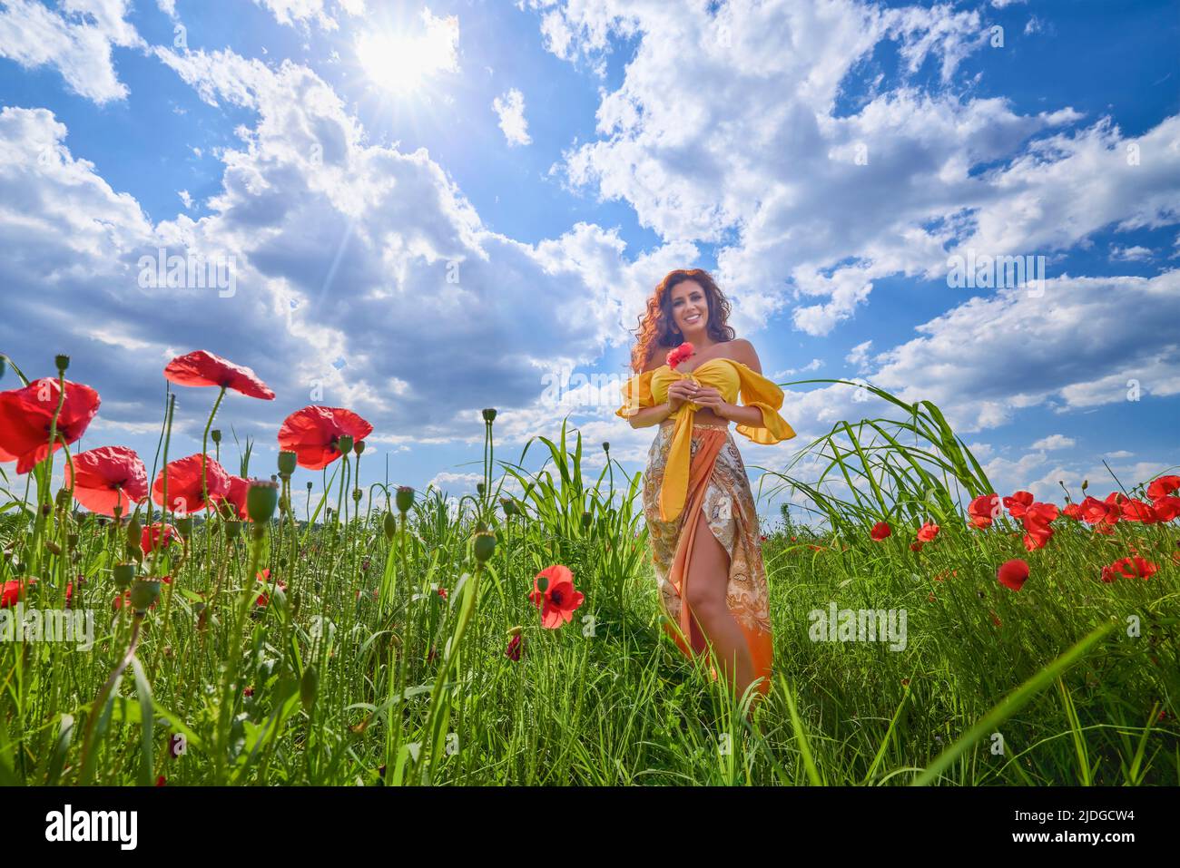 Attractive woman in a poppy field with flowers in full bloom Stock ...