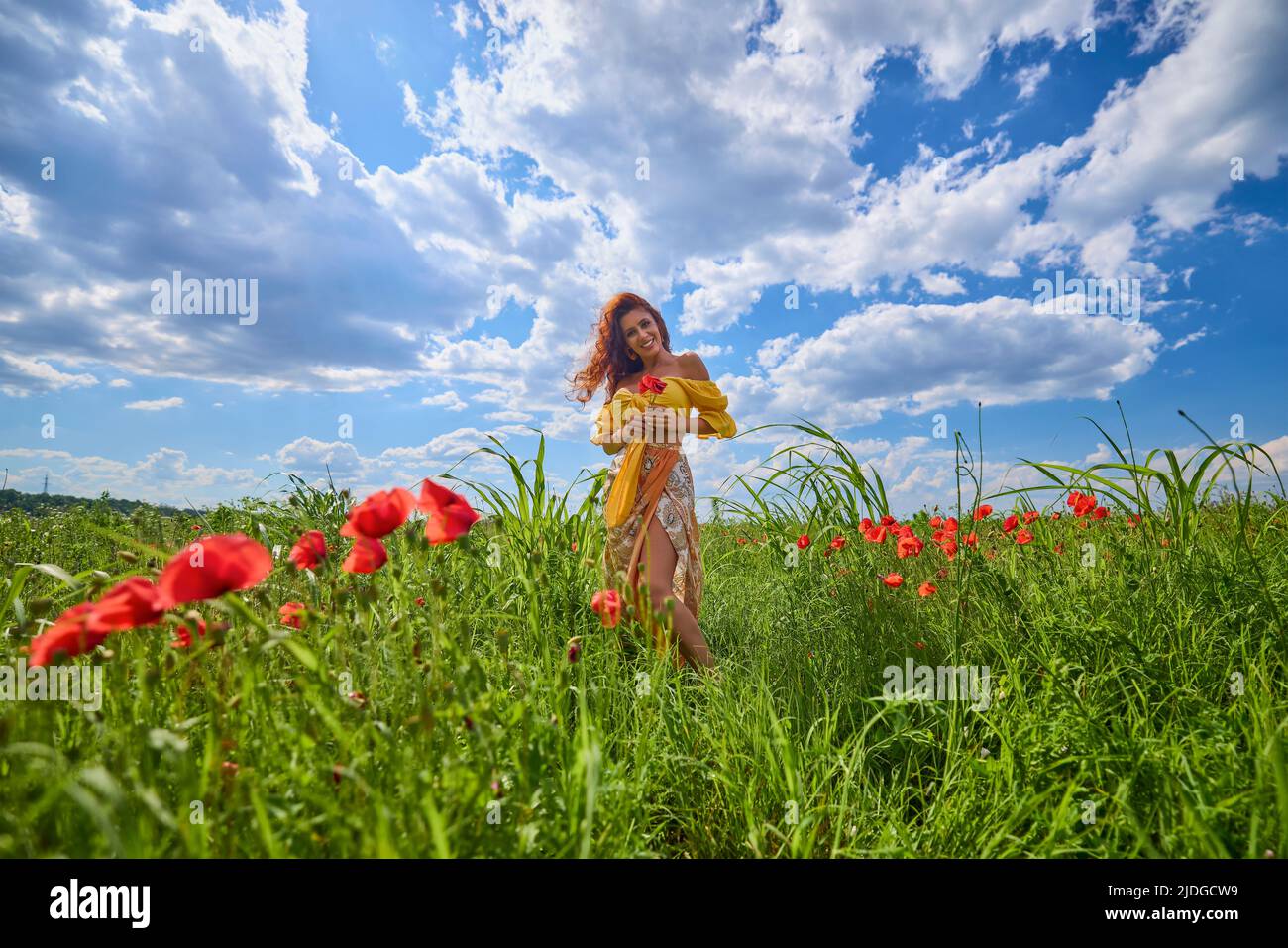 Attractive woman in a poppy field with flowers in full bloom Stock ...