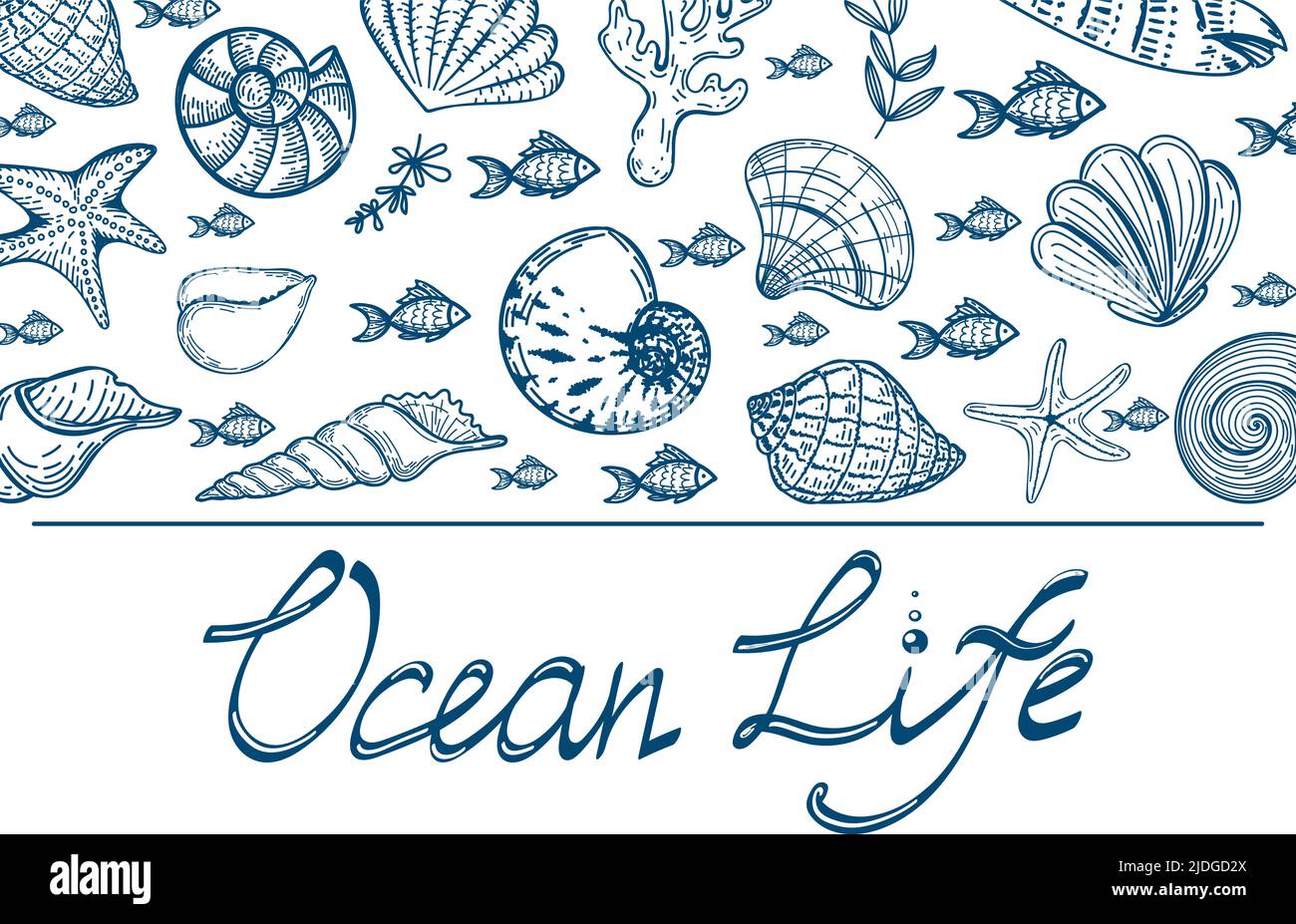 Banner with silhouettes of sea creatures on white background. Great ...