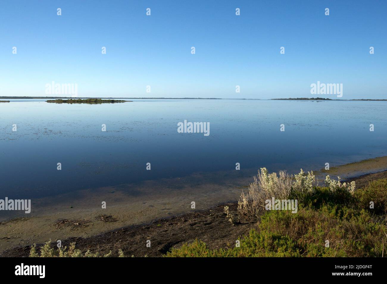 Swan Bay is a shallow sea lagoon on the Eastern side of the Bellarine ...