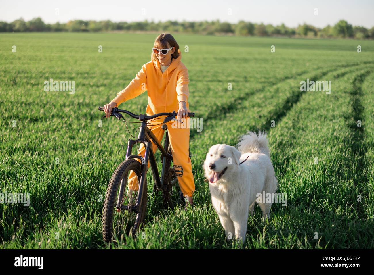 Woman rides bike with dog hi-res stock photography and images - Alamy