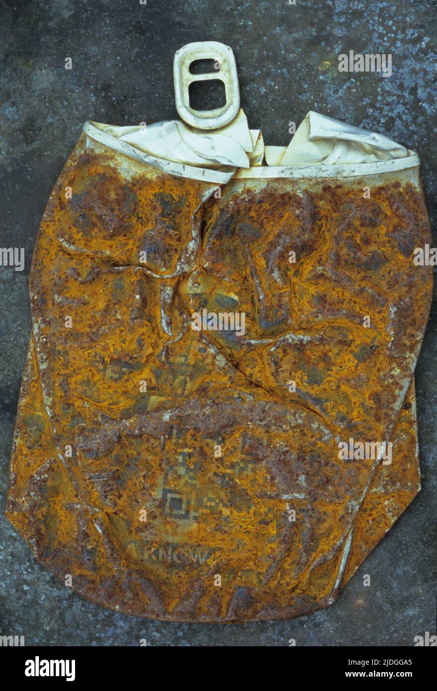 Squashed and split aluminium drinks can with rusty sides lying on ...