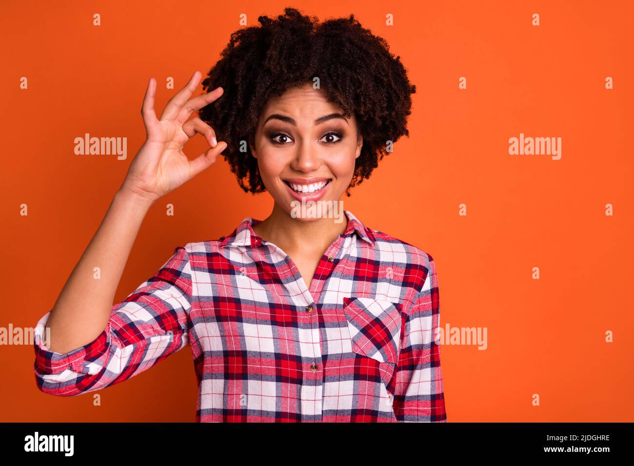 Portrait of pretty positive lady hand fingers demonstrate okey approve ...