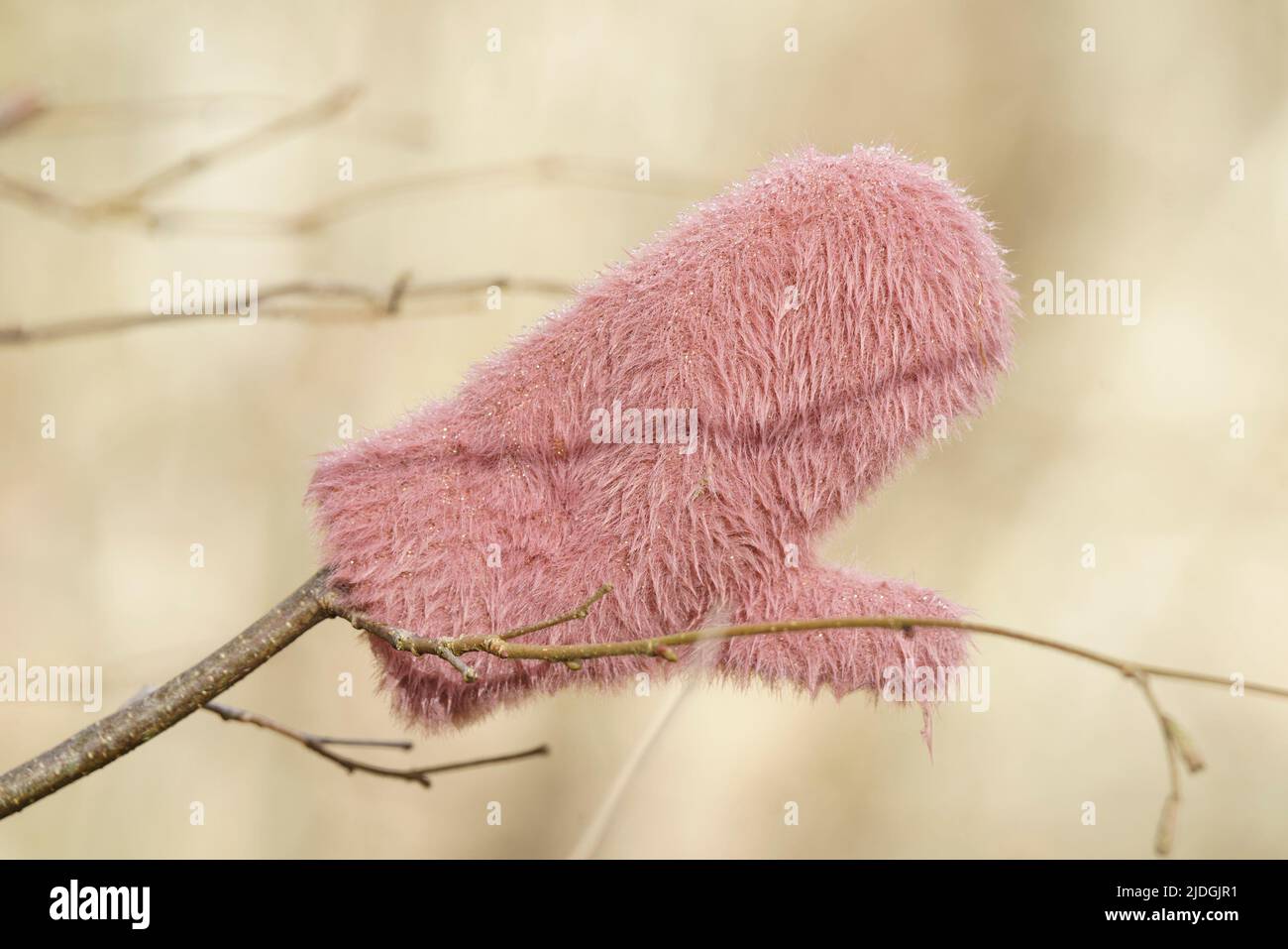 Lost children sign hi-res stock photography and images - Alamy