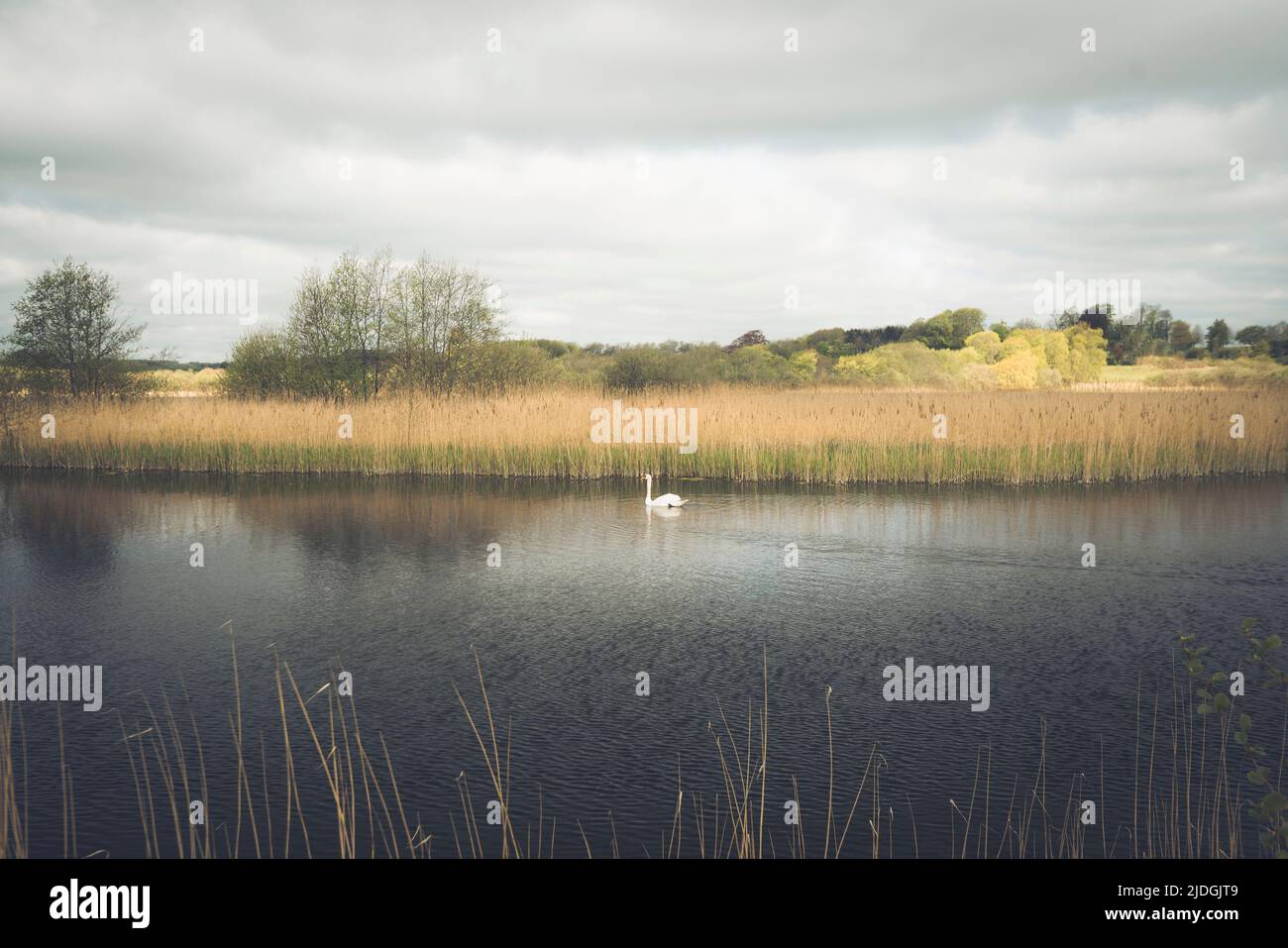Raw natural beauty of a river hi-res stock photography and images - Alamy