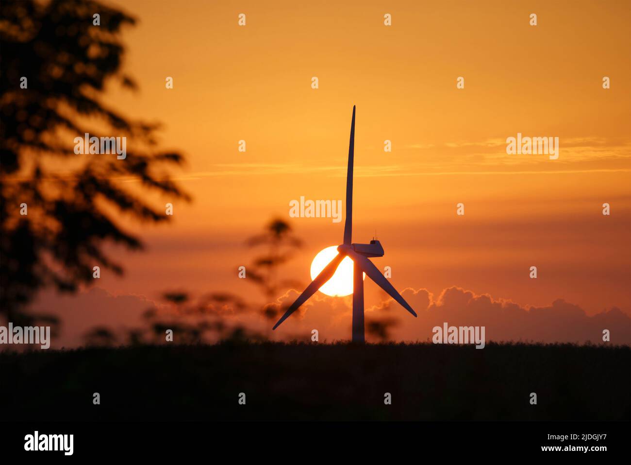 Windmill in a sunset in a rural summer landscape with plants and trees ...