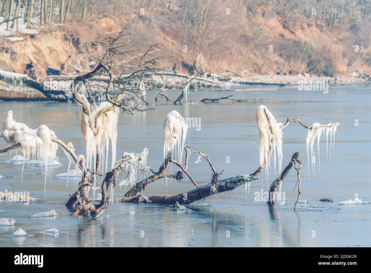Icy landscape with icicles on branches in a frozen lake in the winter ...