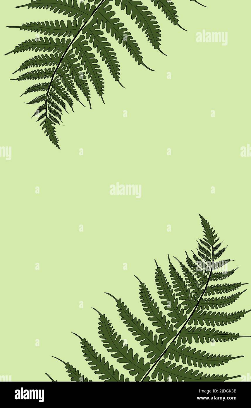 Creative tropical green leaves layout. Nature spring concept. Pattern ...