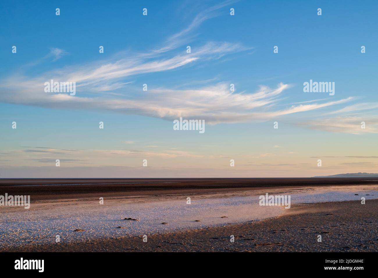 Scottish shells hi-res stock photography and images - Alamy