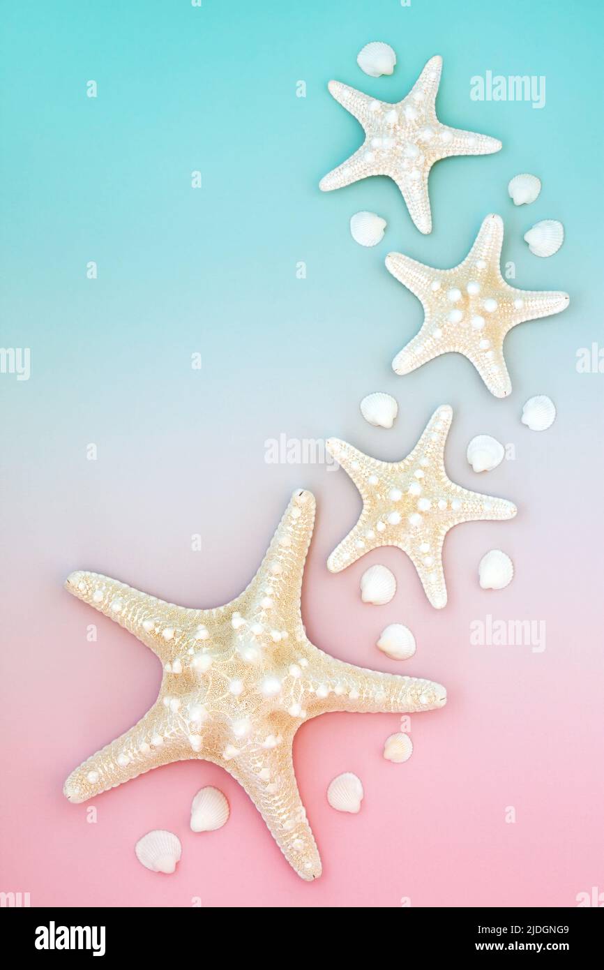 Starfish shell and cockleshell summer nature background on pastel pink ...
