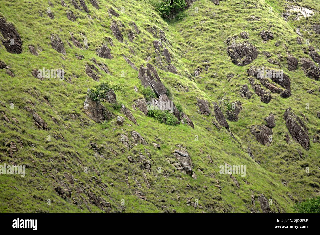 Landscape of rocky grassland on a seaside hill slope is seen from a ...