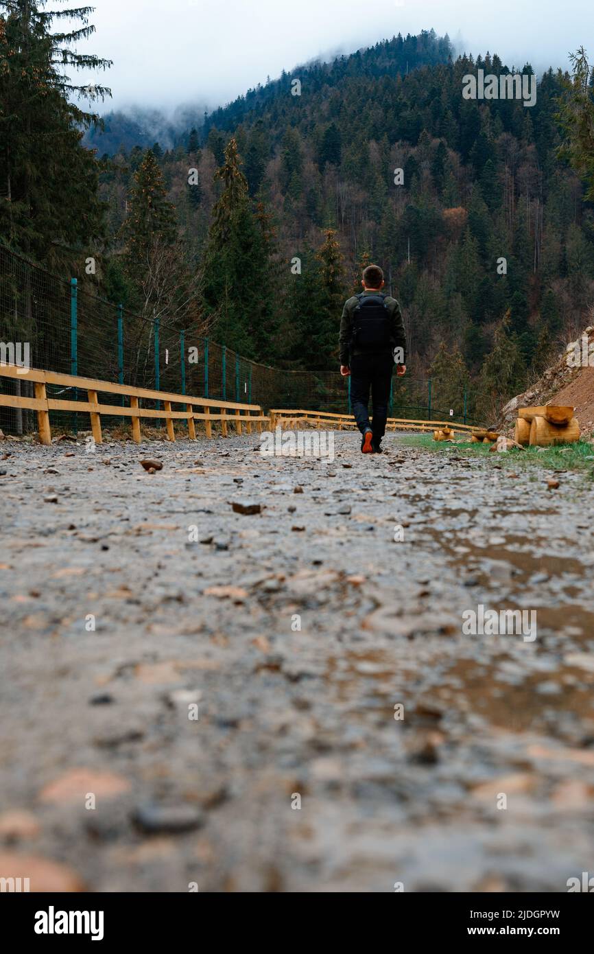 Walking on forest roads, a man walking alone on a forest road against ...