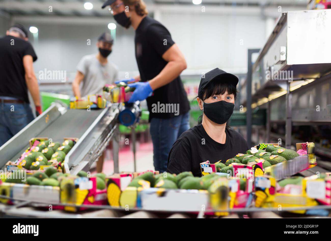 Young women and man in uniform packing mango to crates at factory ...