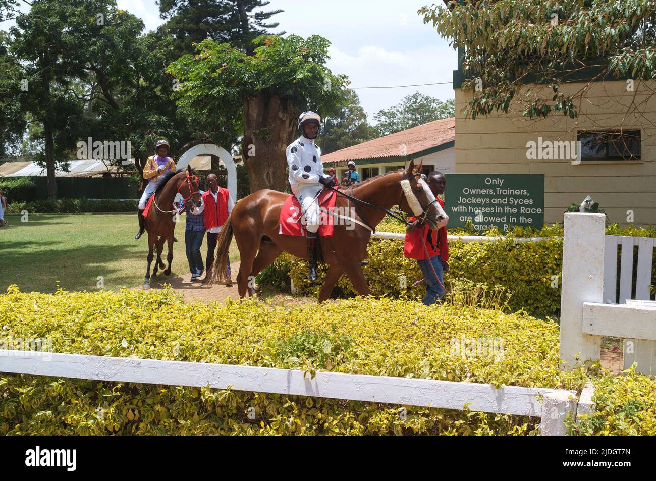 Kenyan horses hi-res stock photography and images - Alamy