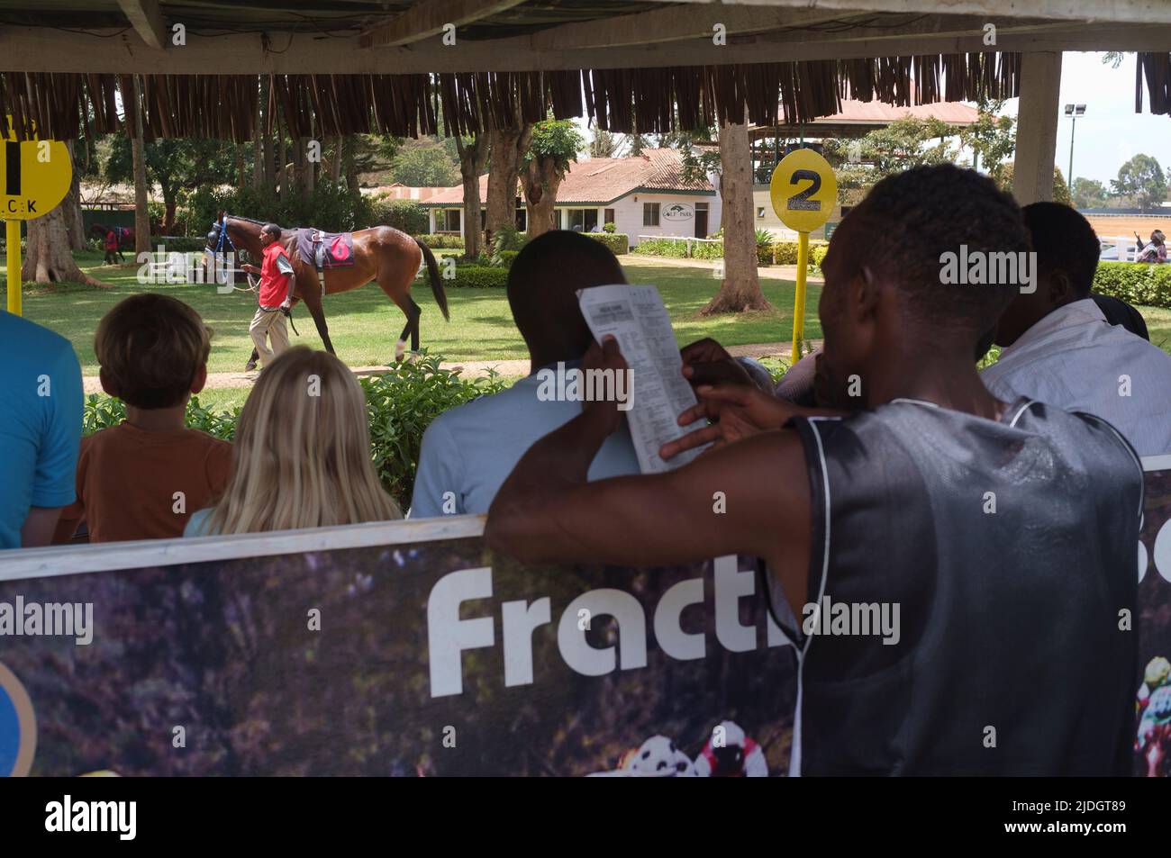 Spectators watching horses being led round the parade ring before a ...
