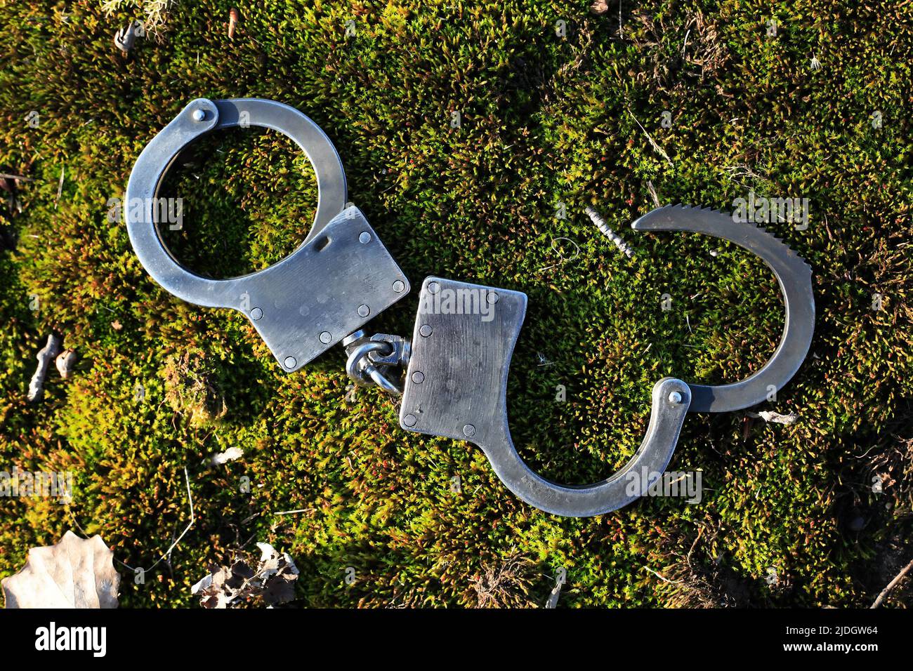 Escape concept. Old metal unfastened handcuffs on green moss Stock ...