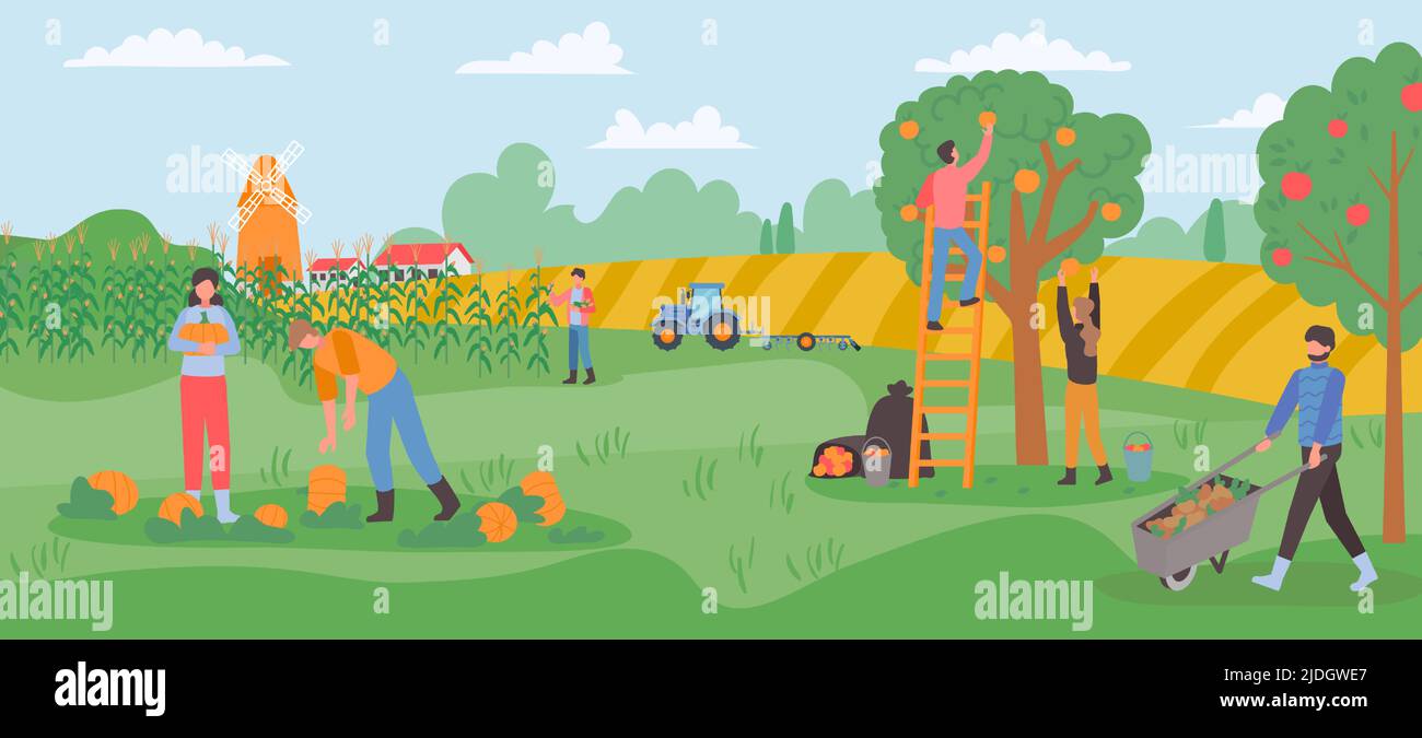 Autumn gathering, farmers collect harvest fruits in garden Stock Vector ...