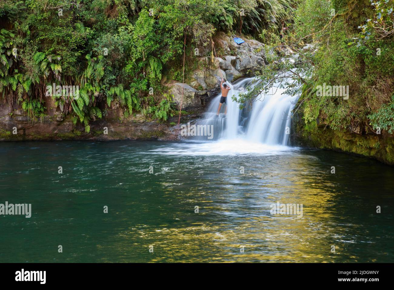 Raparapahoe Falls, New Zealand, cascades into a pool surrounded by ...