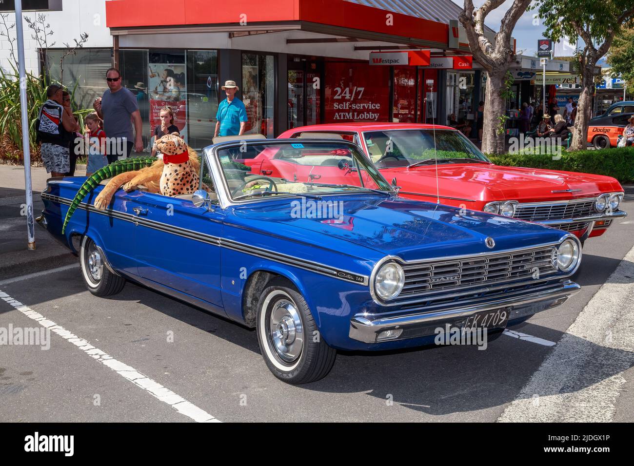 A blue 1965 Chrysler Valiant at an outdoor classic car show. Tauranga ...