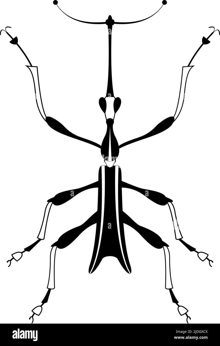 Original art insect illustration. Black and white insect image for ...