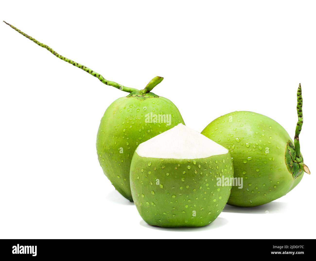 water drop green coconut isolated on white background with clipping ...
