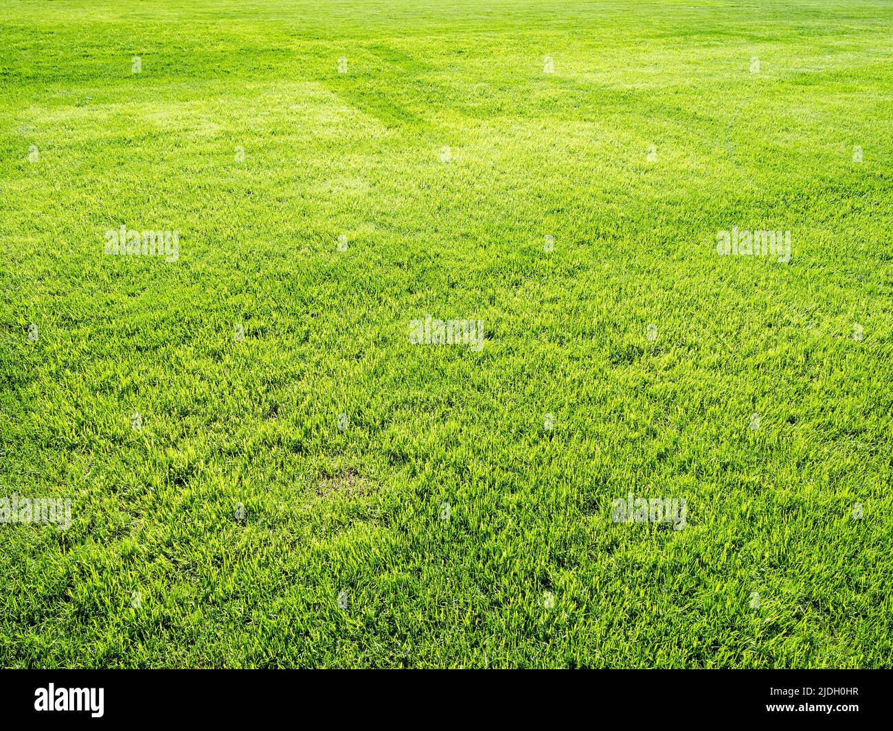 May grass hi-res stock photography and images - Alamy