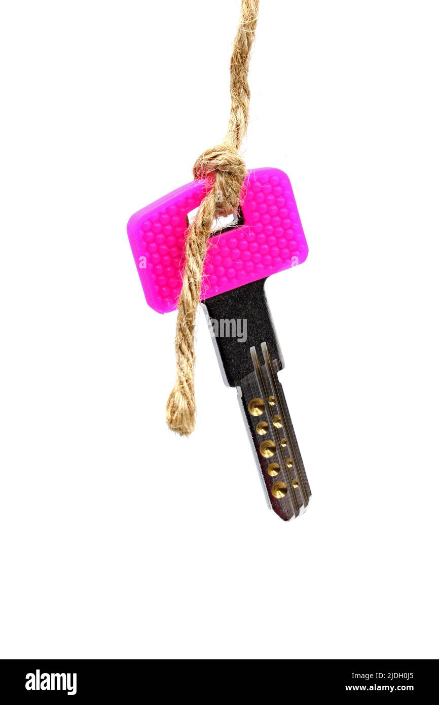 Key to success isolated on white background Stock Photo - Alamy